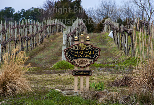 Discovering Altus Arkansas